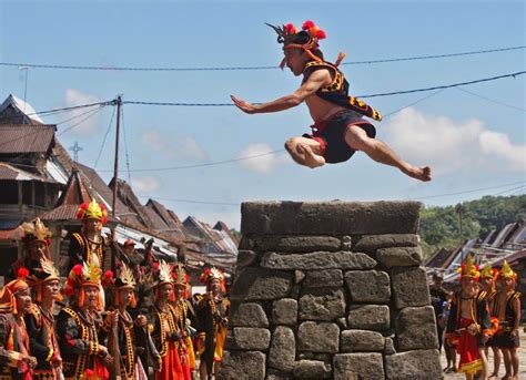 Fahombo A Jump Stone Rite Of Passage In Nias Island Indonesia