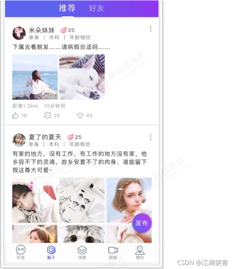 Java项目 探花交友探花桃花传音 Csdn博客