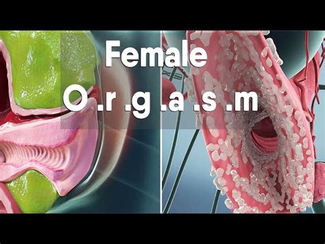 Why Do Women Orgasm Hotsell Lasebfaeufmgbr