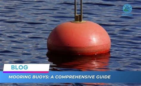 Mooring Buoys A Comprehensive Guide Trending Blog