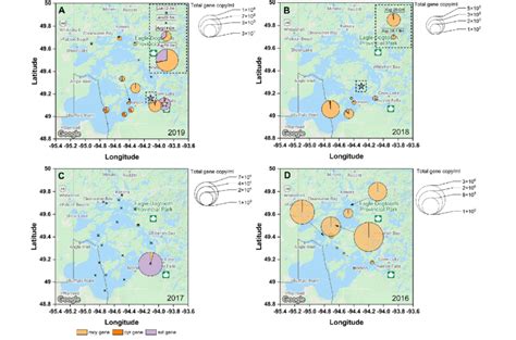 Spatial Distribution Of Cyanobacterial Toxin Genes Gene Copiesml In