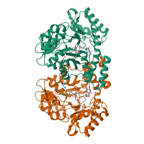 Rcsb Pdb 4oca Cryatal Structure Of Arnb K188a Complexted With Plp