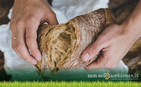 Stopthewaste The United Nations World Food Programs Campaign