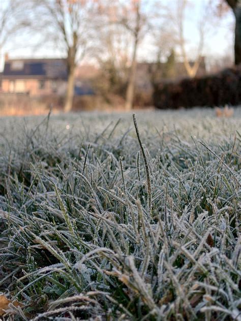 I Dont Like The Cold But Ice Does Look Pretty Rsonyxperia