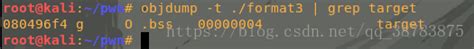 Pwn 练习笔记 覆盖内存地址pwn Fmtstr Hhn Csdn博客