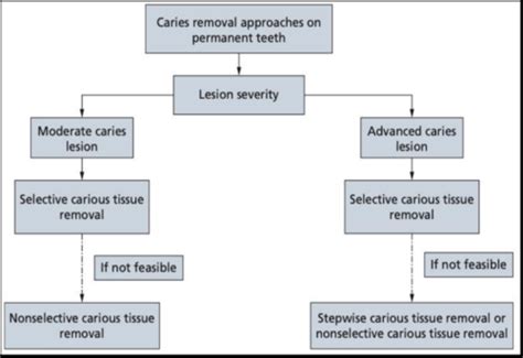 Caries Terminology Flashcards Quizlet