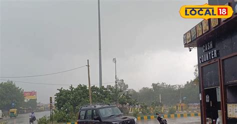 बारिश से खिले किसानों के चेहरेसरसों और गेहूं की फसल अच्छी होने की