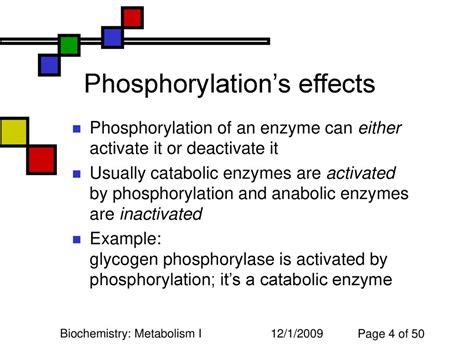 General Metabolism Principles Nutrition Ppt Download