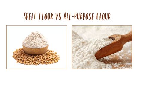 Spelt Flour Vs All Purpose Flour The Ultimate Verdict The Coconut Mama