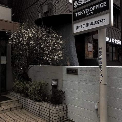언덕에서 달을 보며