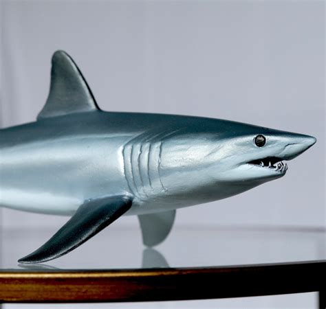 Mako Shark Scale Model Sculpture Handmade Etsy
