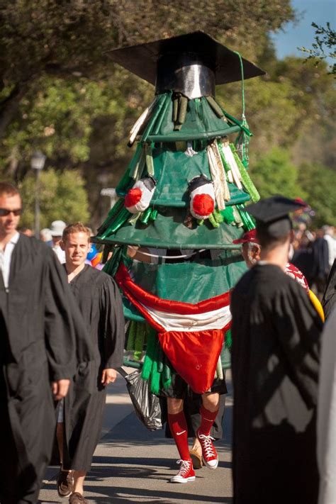 Retired Stanford Trees Have Found A Home In Green Library Stanford Report