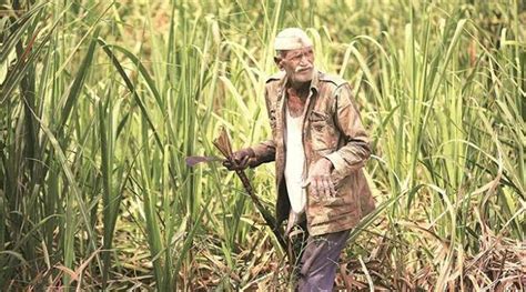 Crop Loan Above Rs 2 Lakh Govt Sets Up Panel To Recommend Schemes