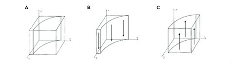 Dynamic Evolution Phase Diagrams Of Research Institutes Download Scientific Diagram