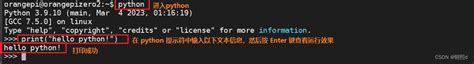 嵌入式和python（二）：python初识及其基本使用规则python嵌入式 Csdn博客