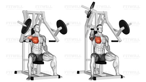 Lever One Arm Chest Press Plate Loaded Guide Techniques Benefits