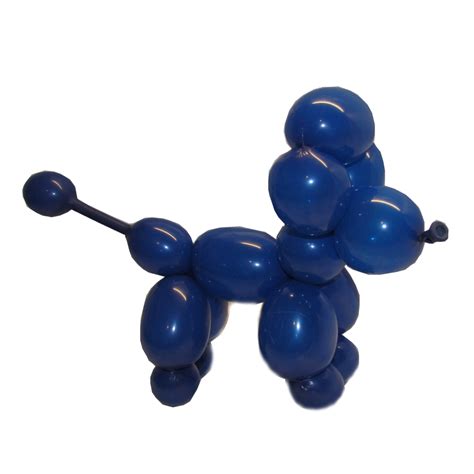 Balloon Twisting Class Beginners Hokey Pokey Shop Professional
