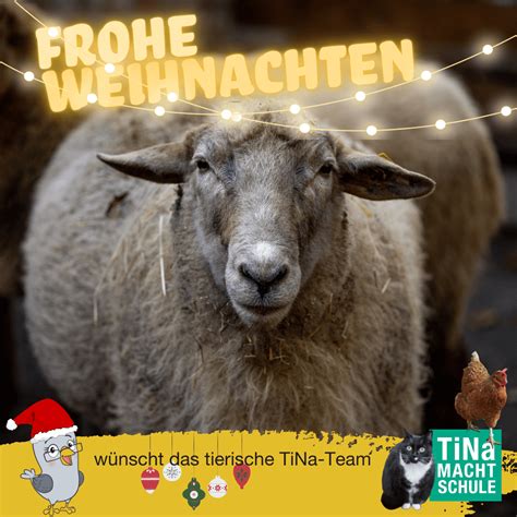 Frohe Weihnachten TiNa Macht Schule
