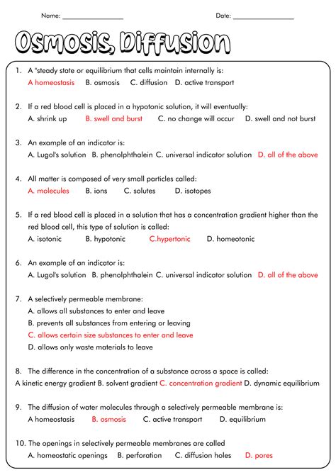 Diffusion Osmosis Active Transport Worksheet Free PDF At Worksheeto