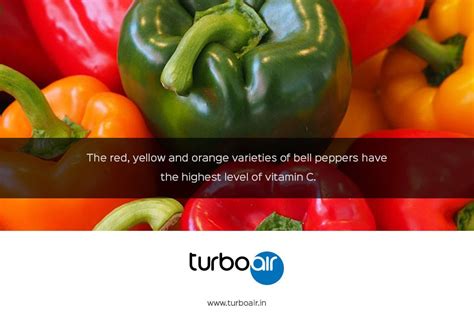 Learn More About Bell Pepper Nutrition Facts And Health Benefits For