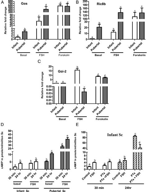 Expression Of Trimeric G Protein Components In Infant And Pubertal Sc