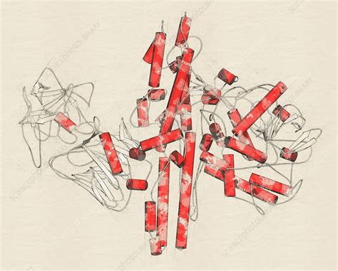 Botulinum Toxin Molecule Illustration Stock Image F0192199