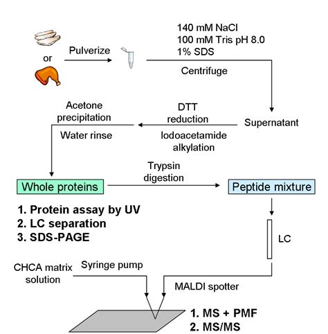 Biomarker Id And Analysis Simultof Systems