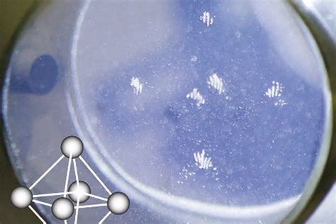 3d технология с ултразвук обещава печатане на живи органи Technews Bg