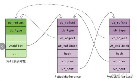 Python Weakref
