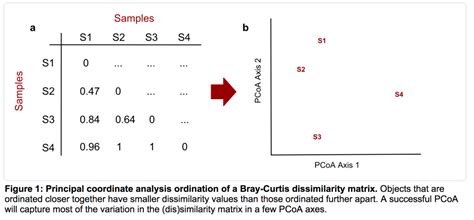 How To Read Pcoa Plots In R Sandstrom Covir1963