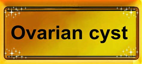 Dr Sherazi Foundation Spermatogenesis