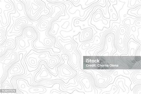 흰색 배경에 지형지도 윤곽선 추상 지형 릴리프 텍스처 지리적 물결 모양의 풍경 벡터 일러스트레이션 지형도에 대한 스톡 벡터 아트 및 기타 이미지 Istock