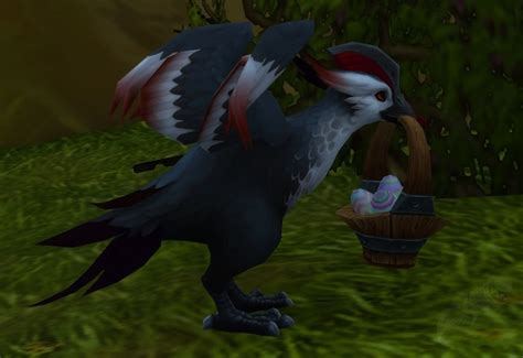 Furious Duck Npc World Of Warcraft