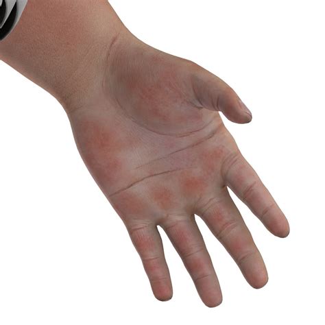 3d Realistic Sumo Model