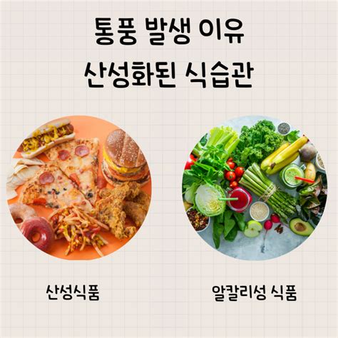 통풍 요산수치 낮추는 알칼리성 복합식품 임상 분석편 네이버 블로그