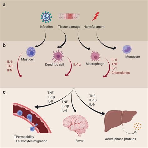 Schematics Of A Label Free Biosensor Download Scientific Diagram