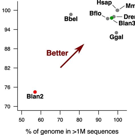 BraLan3 Genome Assembly And Annotation Quality Comparison The X Axis