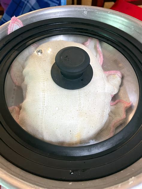 Dumpling Wrappers Recipe • Oh Snap Lets Eat