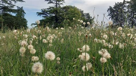 Español Ba 267 Argentinos Bebiendo Agua Potable Contaminada Por Agroquímicos Ploff