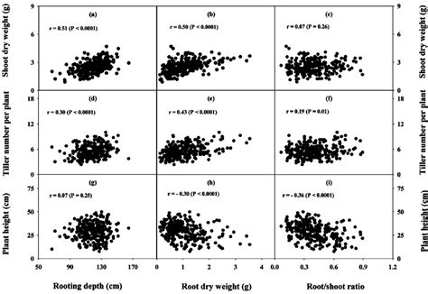 Relationships Of Shoot Traits With Root Traits Of 250 Spring Wheat