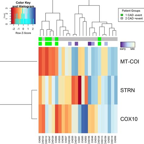 Gene Expression Heat Map Stable CAD Patients With And Without New