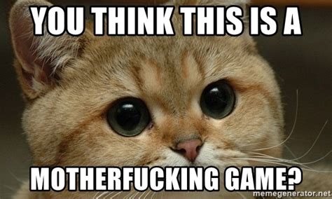 Do You Think This Meme Is A Game Info And 15 Hilarious Examples