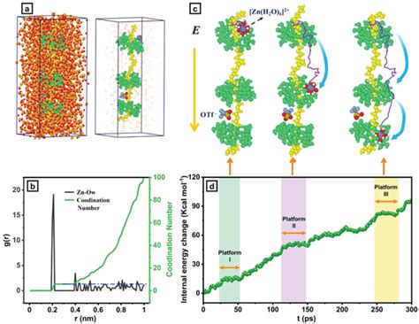 A Ppr Md Model B Radius Distribution Function Rdf Gr Between Download Scientific Diagram