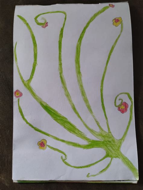 Muslana Gambar Dekoratif Pada Tumbuhan