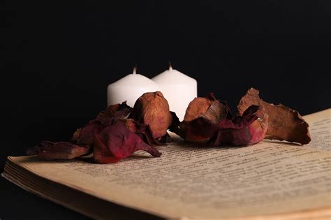 문학 교육 독서 Pixabay의 무료 사진