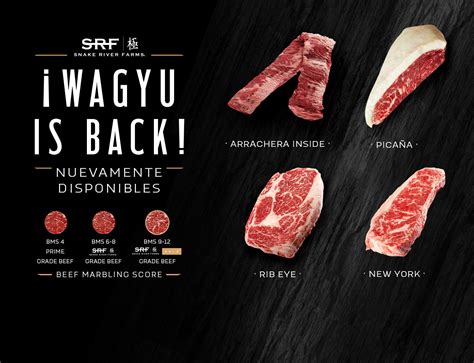 🔥 ¡nuevos Cortes Wagyu Americano Srf 🔥