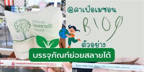 ถงพลาสตกยอยสลายได บรรจภณฑยอยสลายได คาเฟอเมซอน ทำมาจาก