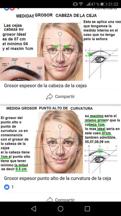 Cejas Perfectas Paso A Paso Artofit
