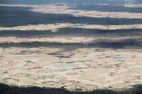 Deforestación Por Minería De Oro En Madre De Dios Es La Más Alta En Los