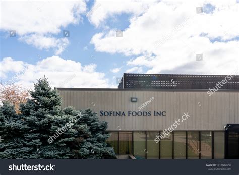 Sofina 12 Images Photos Et Images Vectorielles De Stock Shutterstock